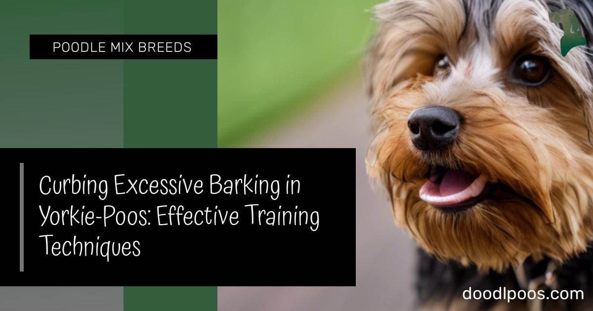 Curbing Excessive Barking in Yorkie-Poos: Effective Training Techniques ...