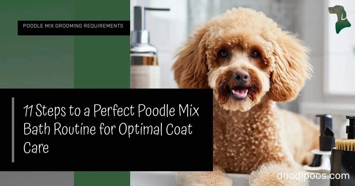 11 Steps to a Perfect Poodle Mix Bath Routine for Optimal Coat Care