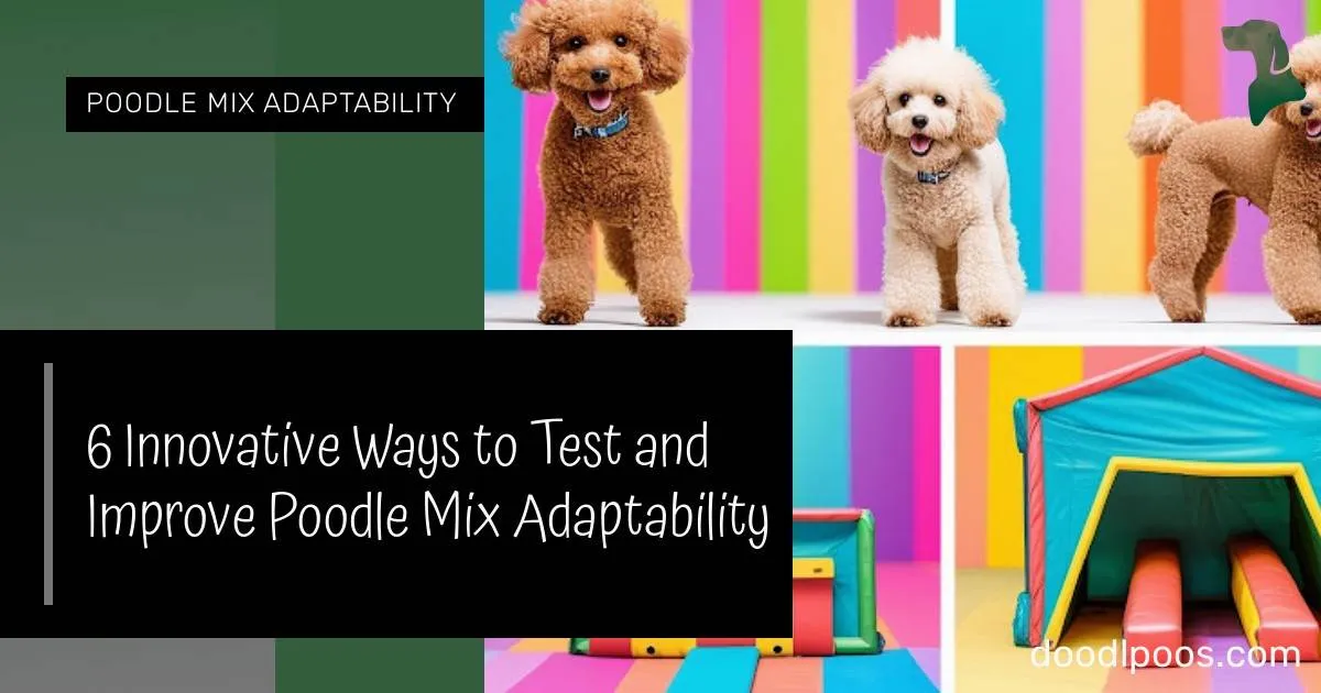 6 Innovative Ways to Test and Improve Poodle Mix Adaptability