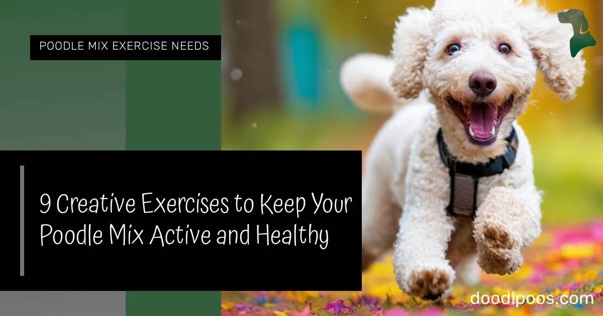 9 Creative Exercises to Keep Your Poodle Mix Active and Healthy