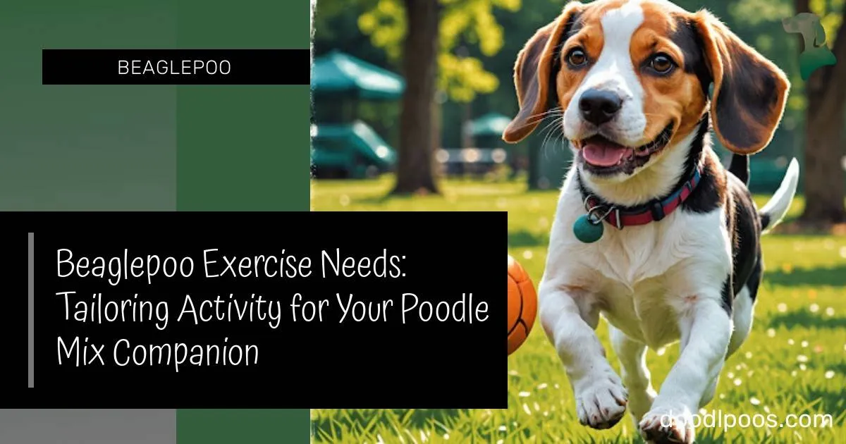 Beaglepoo Exercise Needs: Tailoring Activity for Your Poodle Mix Companion