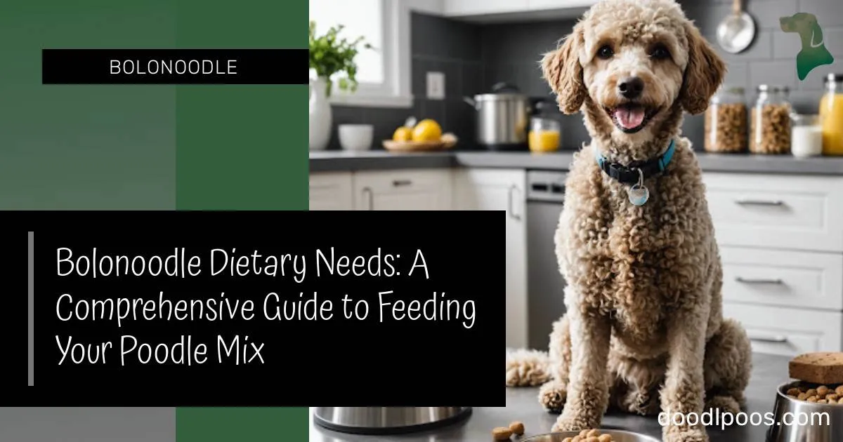 Bolonoodle Dietary Needs: A Comprehensive Guide to Feeding Your Poodle Mix