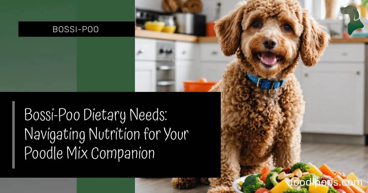 Bossi-Poo Dietary Needs: Navigating Nutrition for Your Poodle Mix Companion