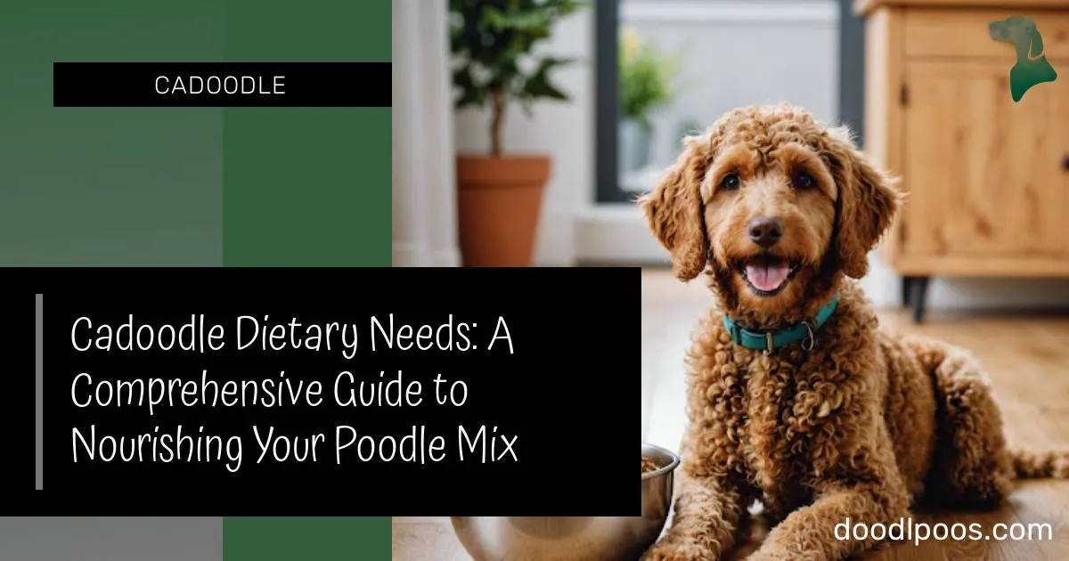 Cadoodle Dietary Needs: A Comprehensive Guide to Nourishing Your Poodle Mix