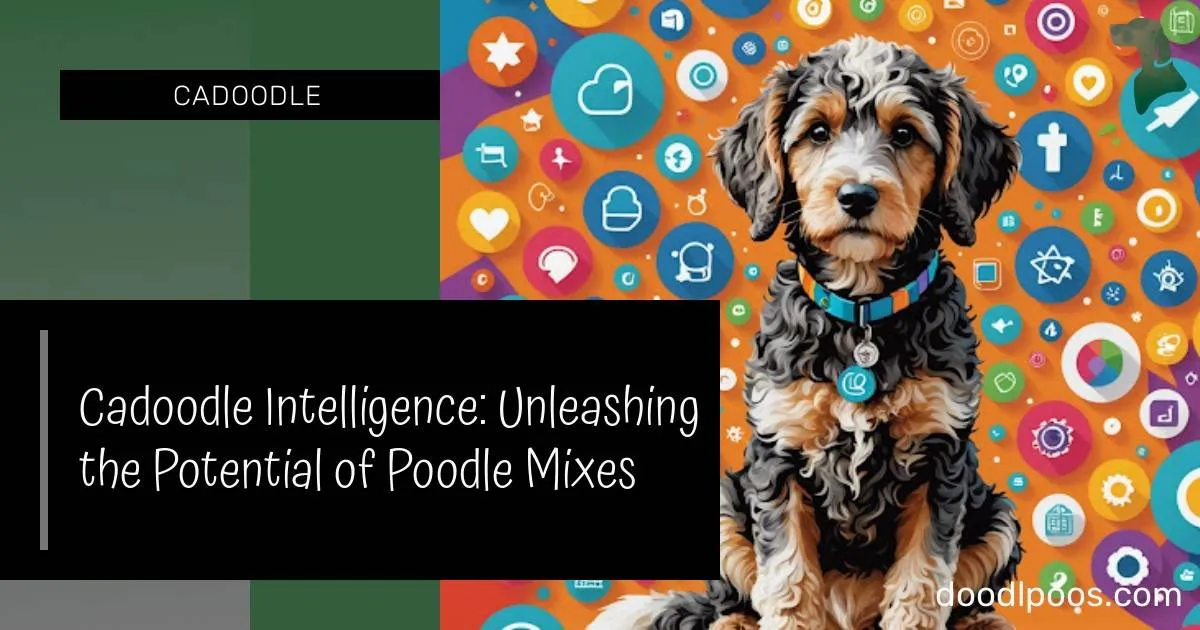 Cadoodle Intelligence: Unleashing the Potential of Poodle Mixes