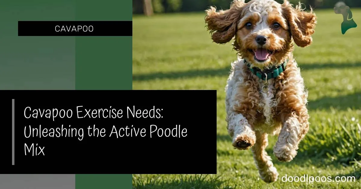 Cavapoo Exercise Needs: Unleashing the Active Poodle Mix