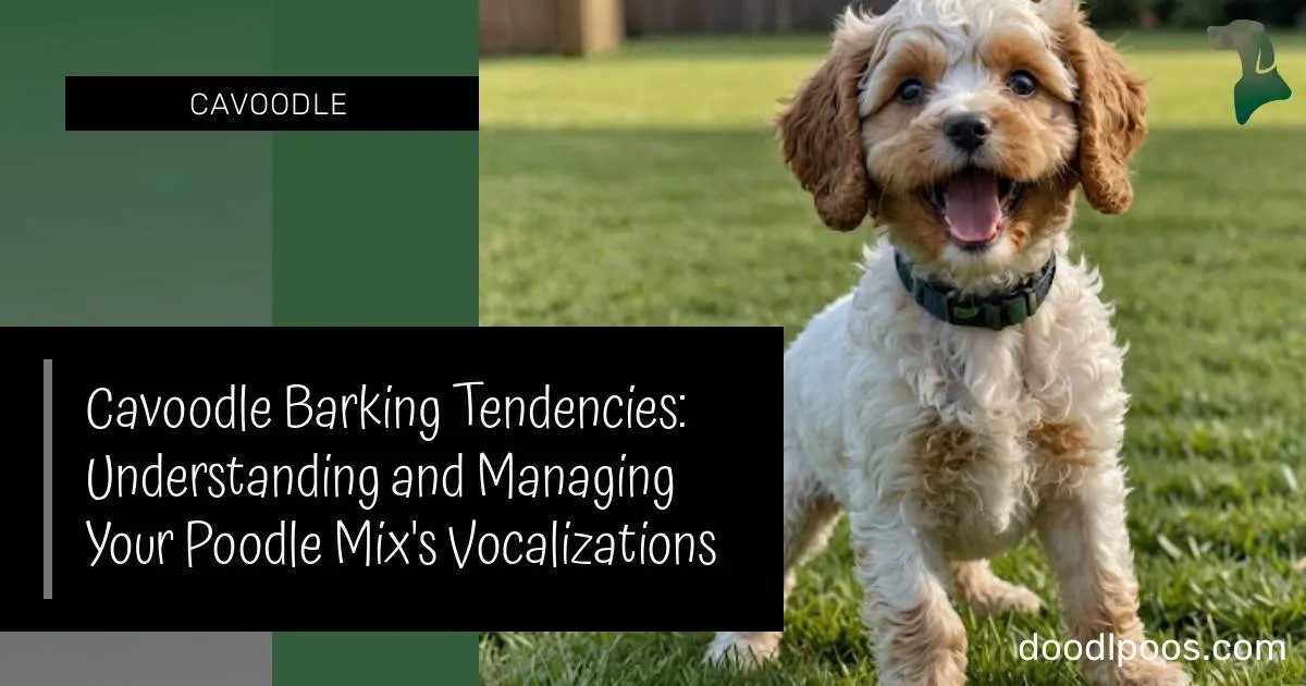 Cavoodle Barking Tendencies: Understanding and Managing Your Poodle Mix ...