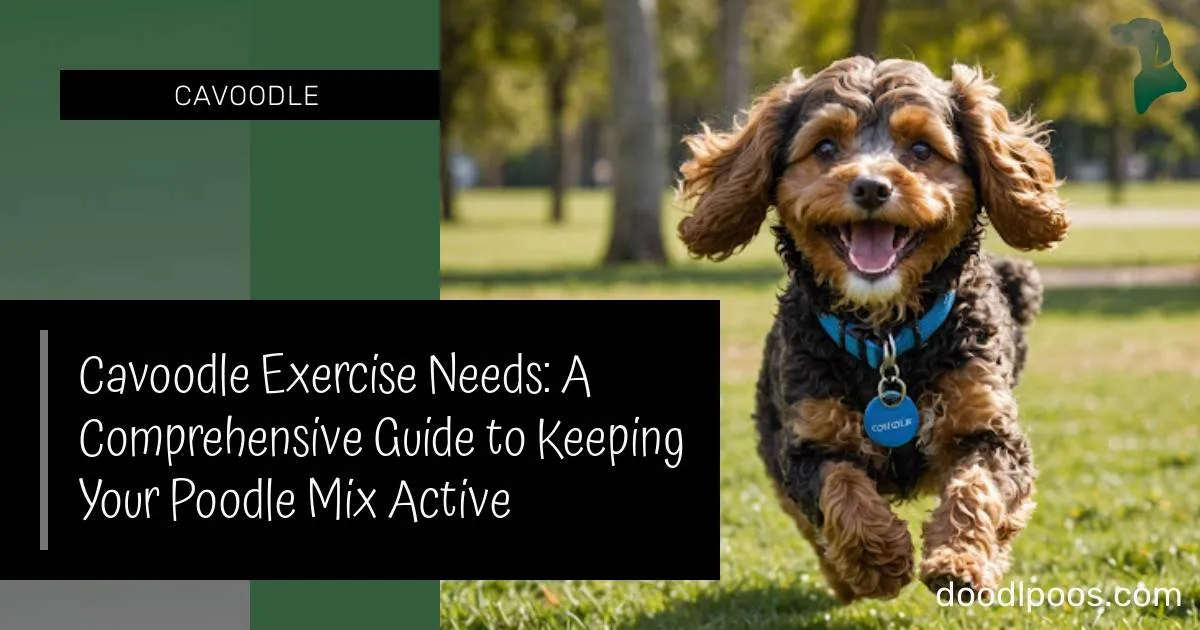 Cavoodle Exercise Needs: A Comprehensive Guide to Keeping Your Poodle Mix Active