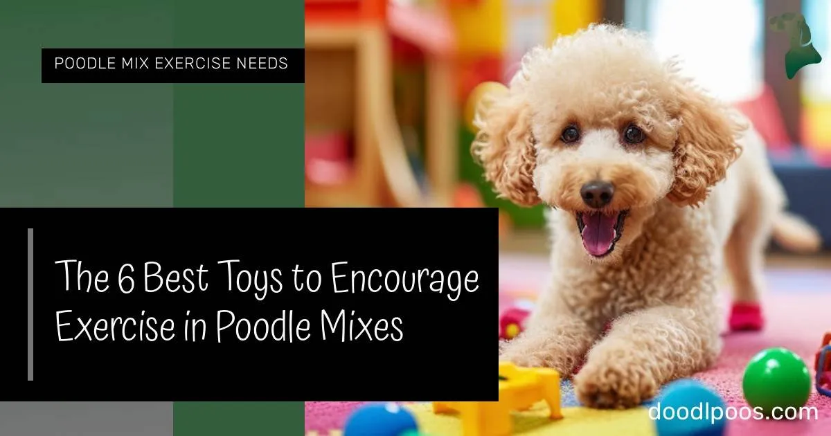 The 6 Best Toys to Encourage Exercise in Poodle Mixes