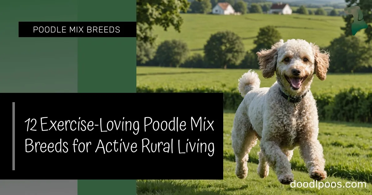 12 Exercise-Loving Poodle Mix Breeds for Active Rural Living
