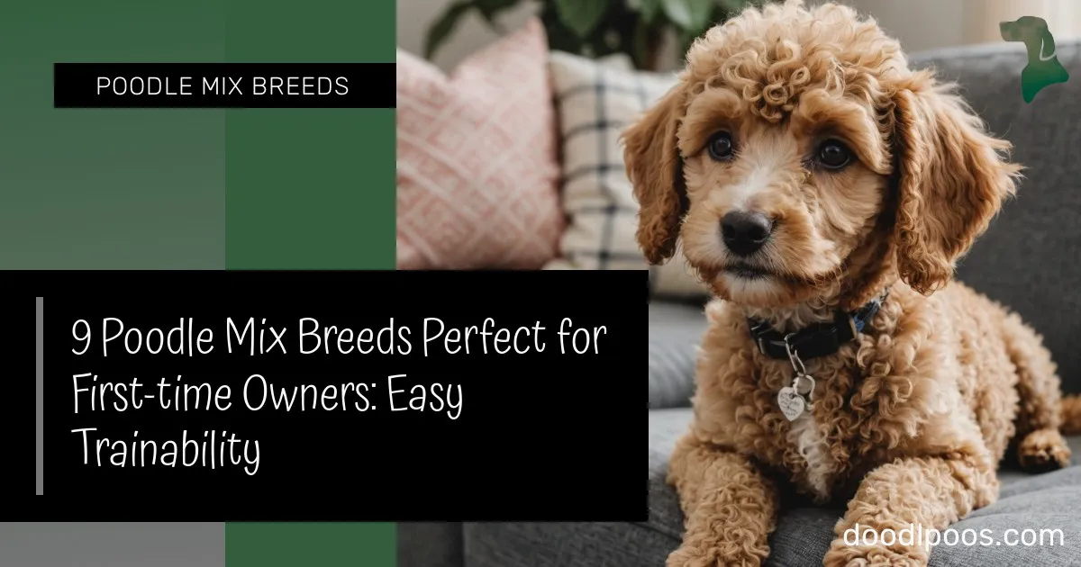 9 Poodle Mix Breeds Perfect for First-time Owners: Easy Trainability