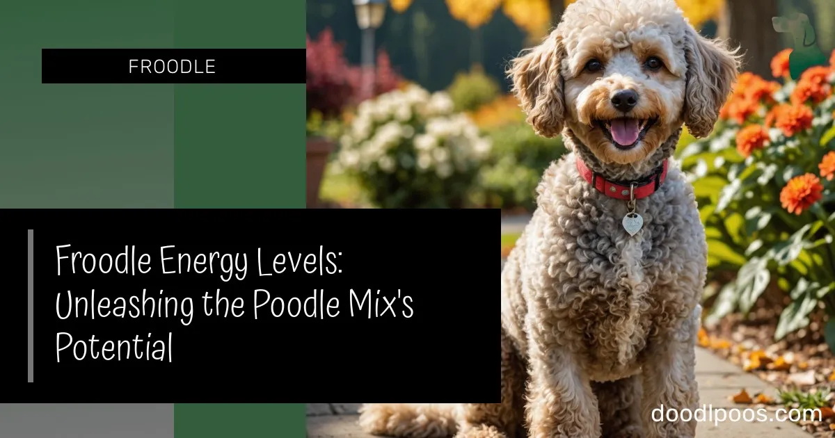 Froodle Energy Levels: Unleashing the Poodle Mix's Potential